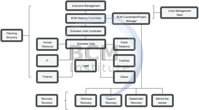 CIR PM BCM Team Structure for CIR